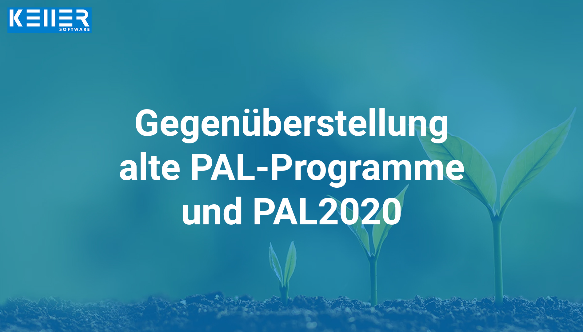 Gegenüberstellung alte PAL-Programme und PAL2020 - SYMplus™ by KELLER ...